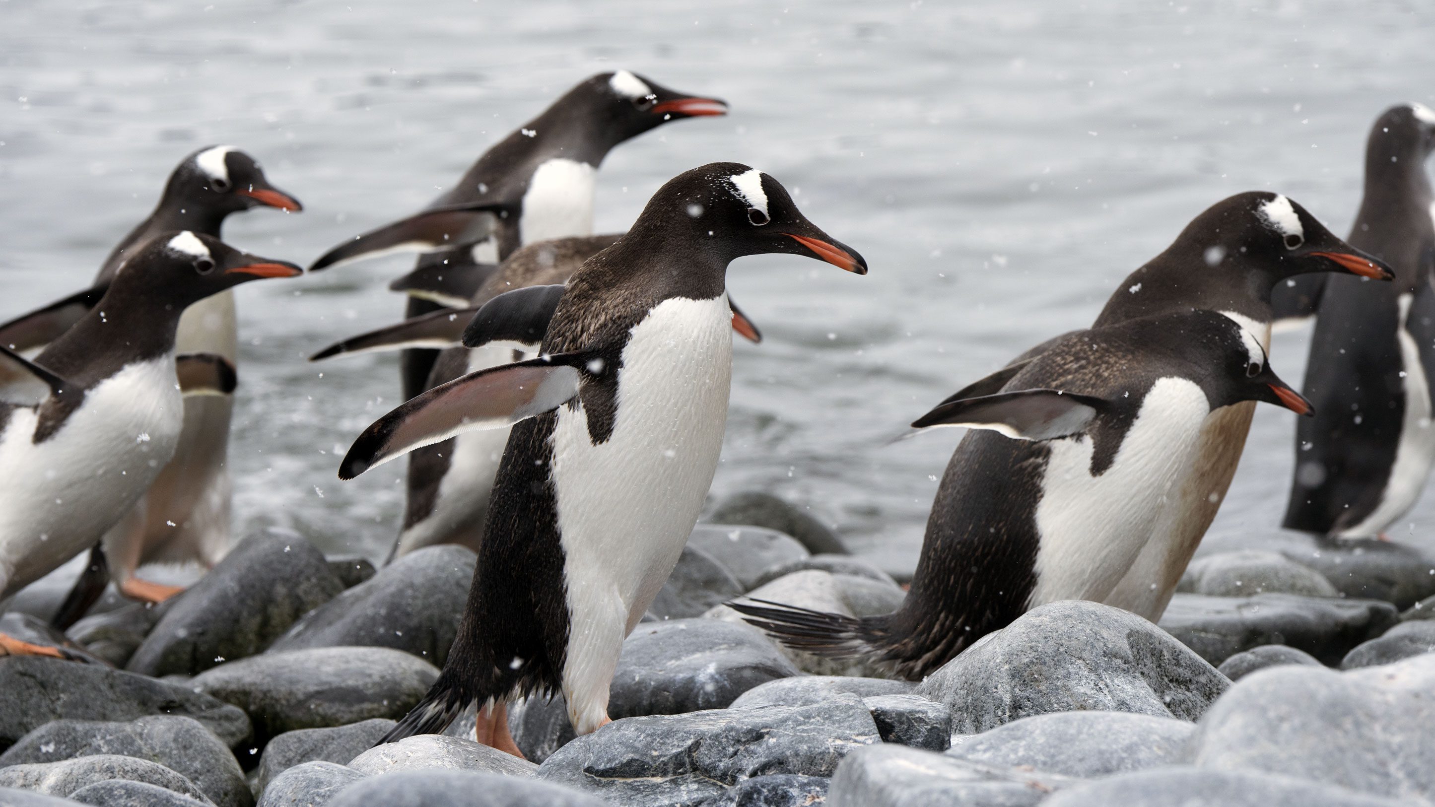 Oil and Gas: Technology Play 4 Energy Transition